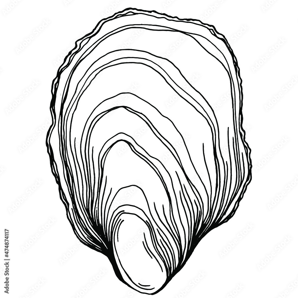 Oysters vector with engraving style illustration of logo or emblem for ...