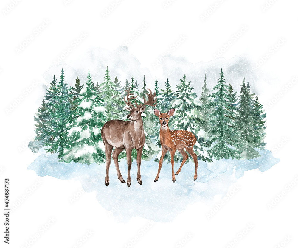 Watercolor winter forest illustration. Hand painted deer and doe, snowy ...