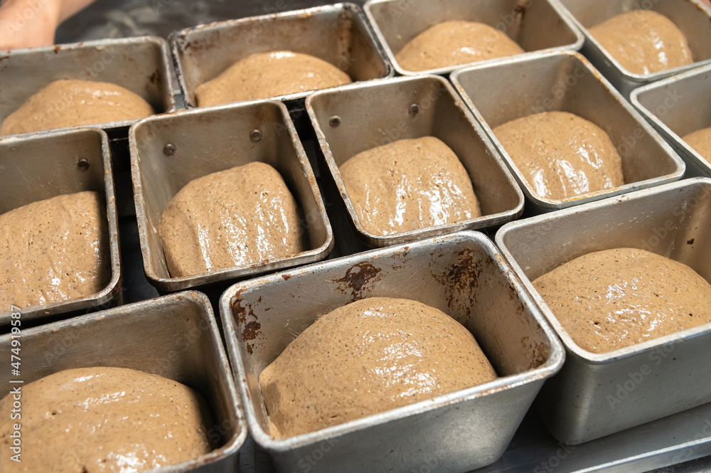Bread dough in a black metal baking dish on a kitchen countertop. Rye ...