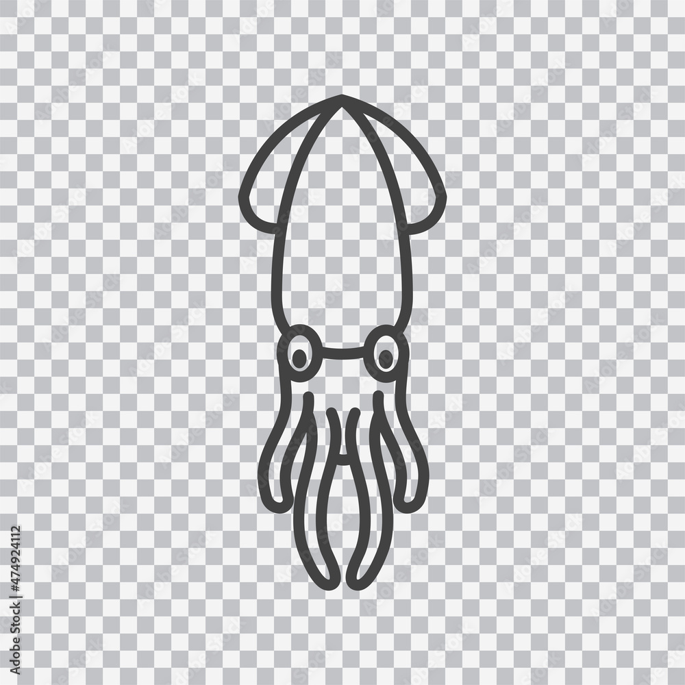 Cuttlefish outline icon. Vector isolated on transparent background ...
