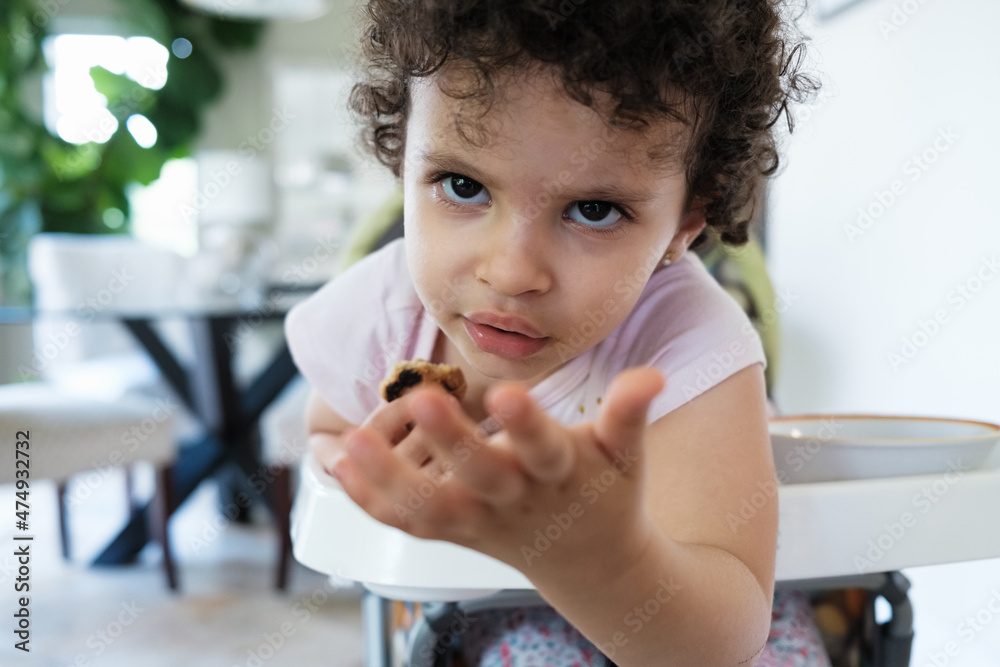 Cute Baby Girl sitting on a high chair eating a cookie in a home ...