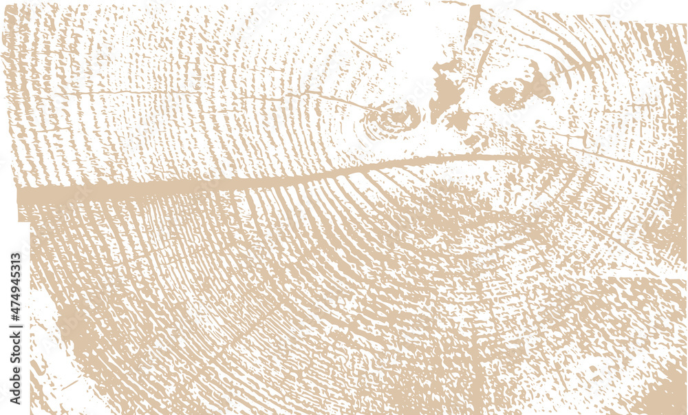 circular wooden board texture vector background Stock Vector | Adobe Stock