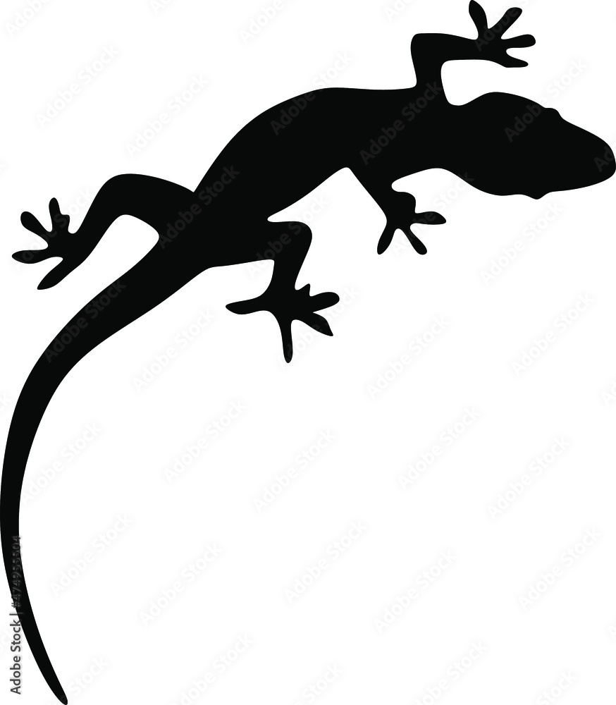 silhouette of a lizard Stock Vector | Adobe Stock