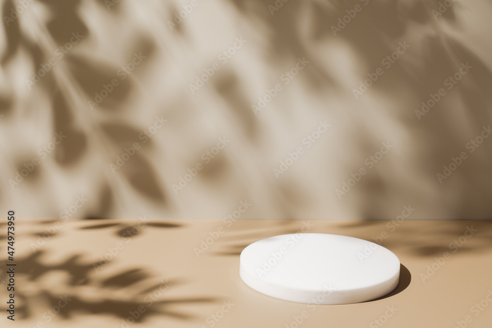 Abstract minimal nature scene - empty stage and white circle podium on ...