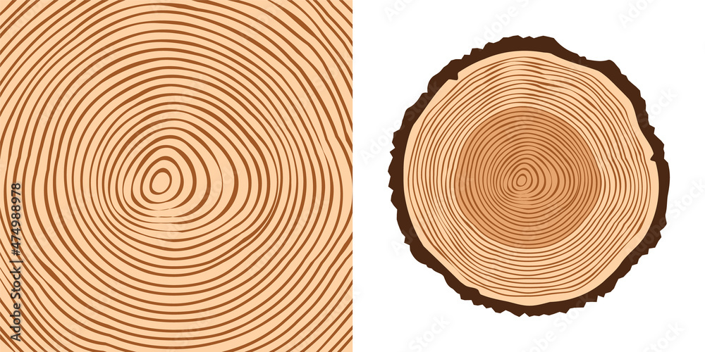 Round tree trunk cut, sawn pine or oak slice. Saw cut timber, wood ...