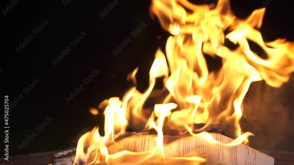 burn in fire important letter. hand throws printed document. Throw ...