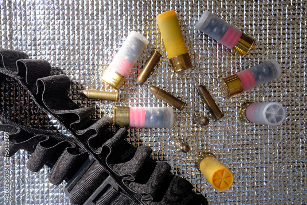 Different types of firearms.Old firearms for hunter. The difference of ...