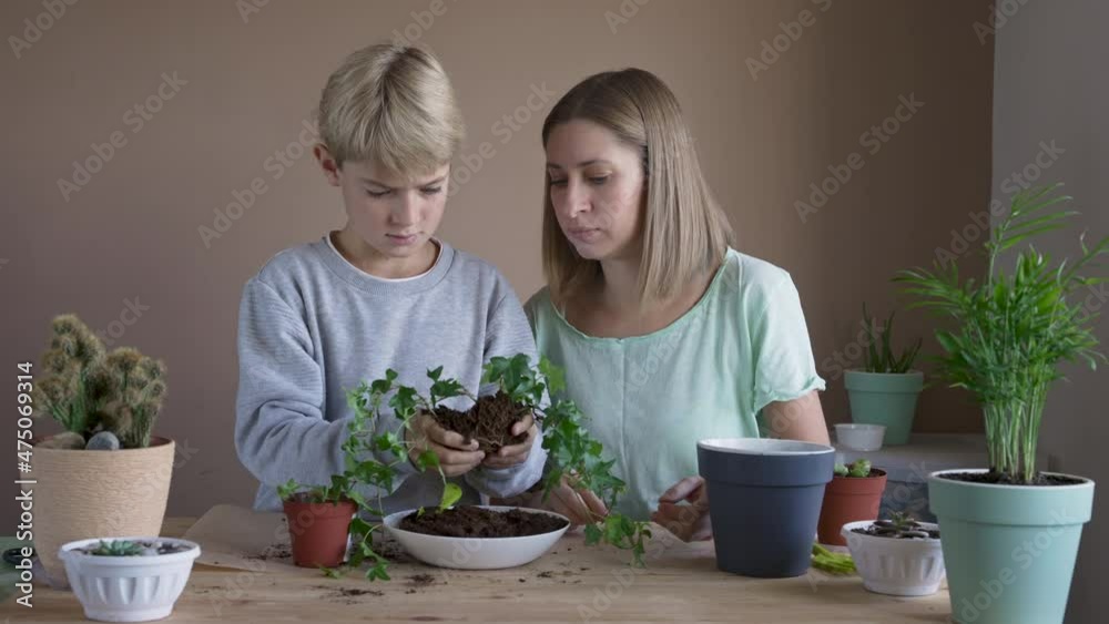 Boy planting a flower in a pot with mother together. Child studing ...