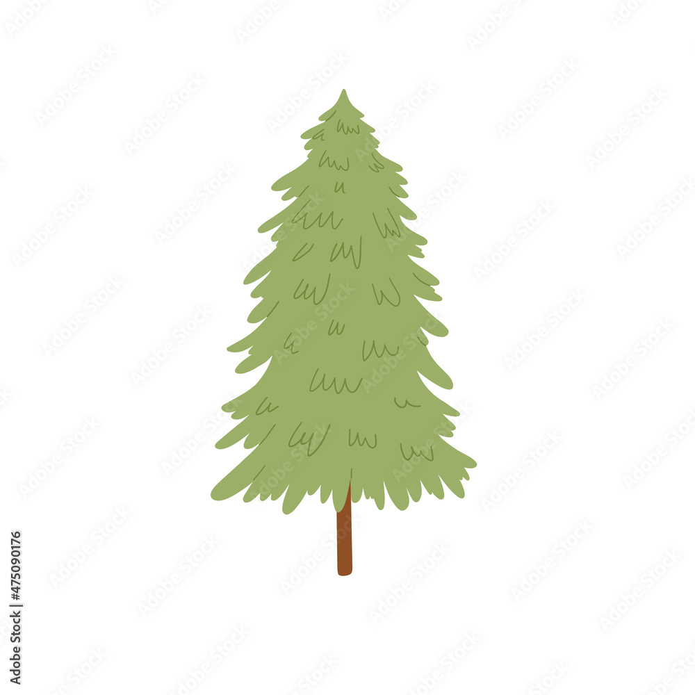 Pine tree. Vector cartoon illustration isolated on white background ...