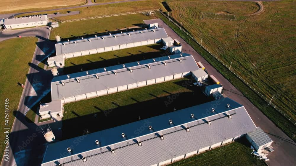Farm building with cows and pigs in the village, aerial view. Cowshed ...