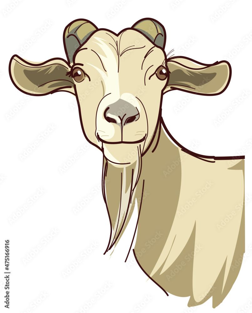 Face of goat, vector illustration on white background Stock Vector ...