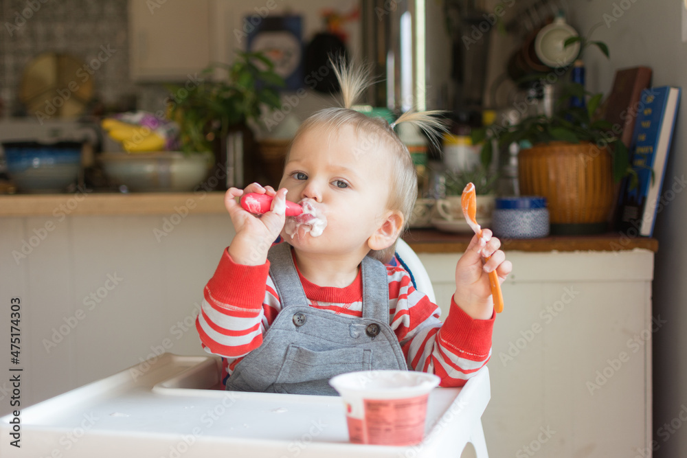 18 month old toddler savoring yogurt; child uses both hands to eat with ...
