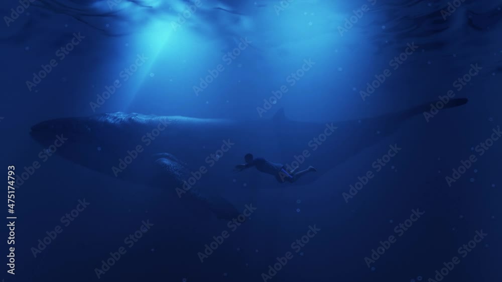 3D Whale and Man Swimming in the Ocean - Underwater Loop Animation ...