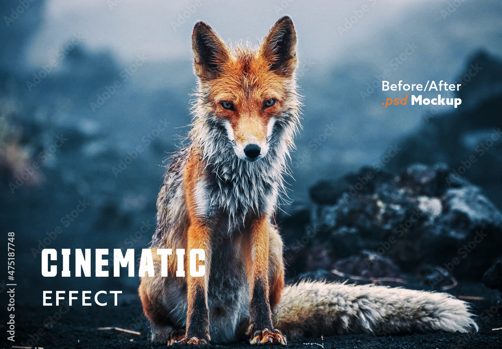 Before and After Photo Effect Stock Template | Adobe Stock