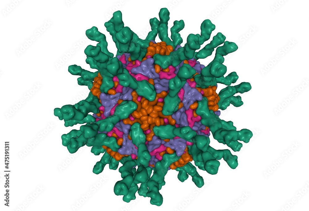 Cryo-EM structure of human poliovirus(serotype 1)complexed with three ...