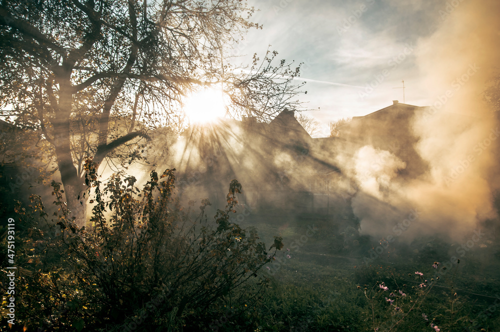 Smokescreen with sun rays through the smoke with blur effect, sunlight ...
