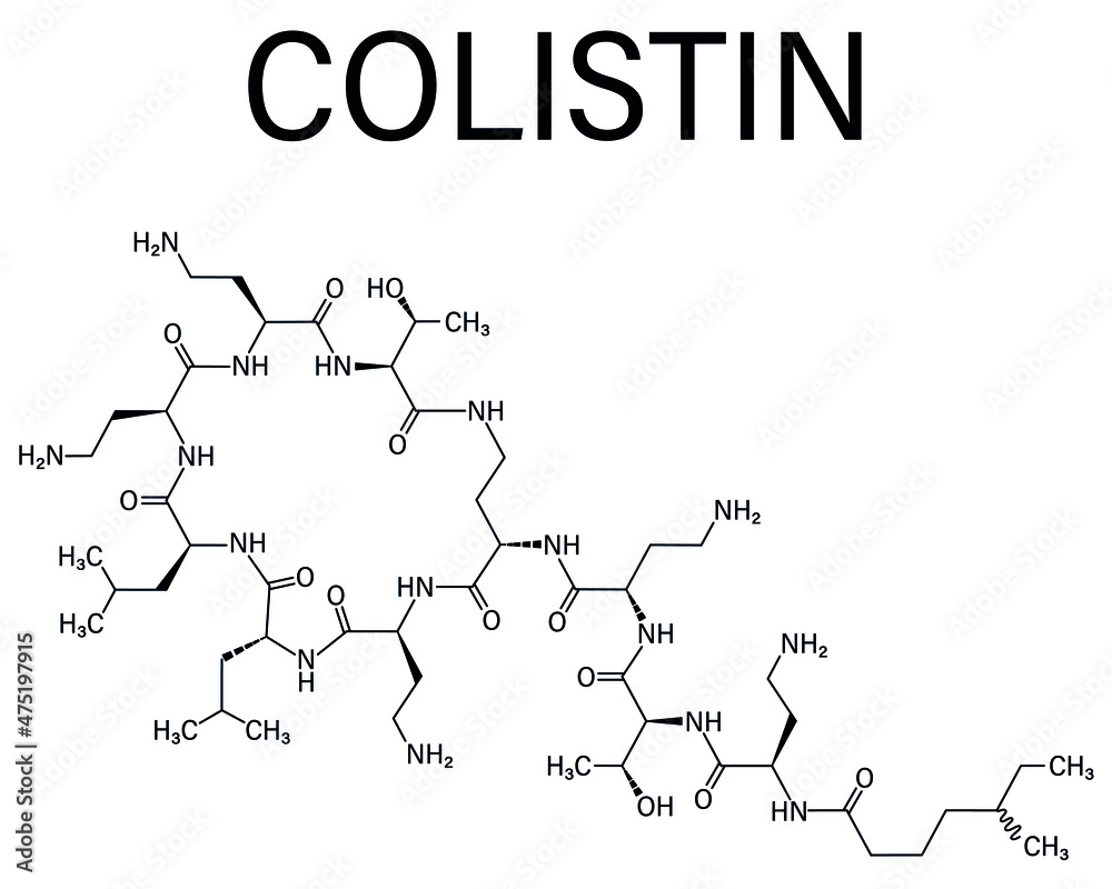 Colistin antibiotic drug molecule. Skeletal formula. Stock Vector ...