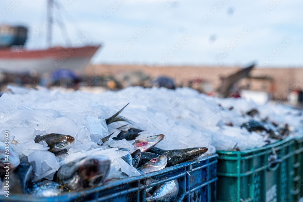 Assortment of raw fish and seafood with ice for transport and sale at ...