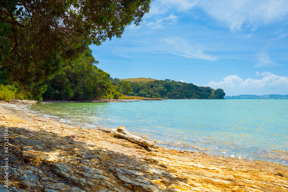 Panoramic Scenery of Te Wharau Bay Beach Duder Regional Park, Auckland ...