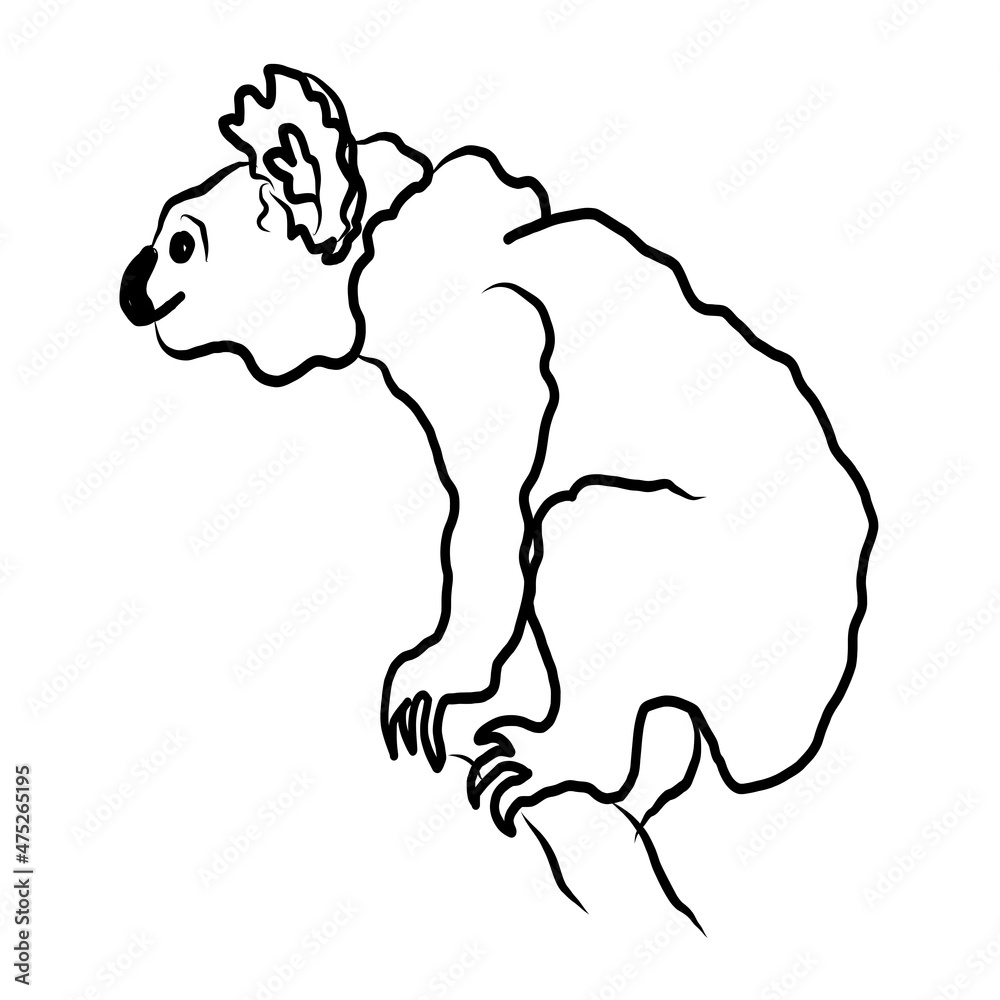 Cute hand drawn koala. Little funny rainforest animal. Australian bear ...