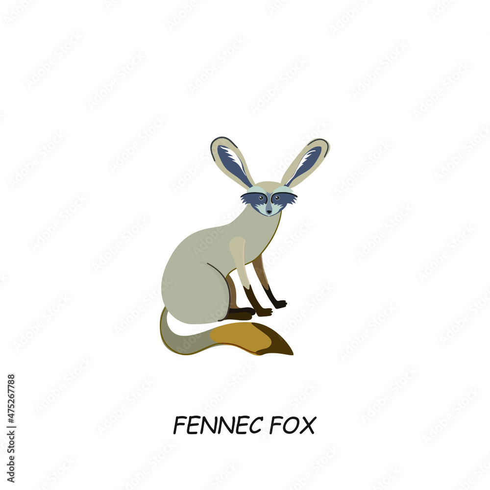 Fennec fox, African fox. Vector illustration isolated on white ...