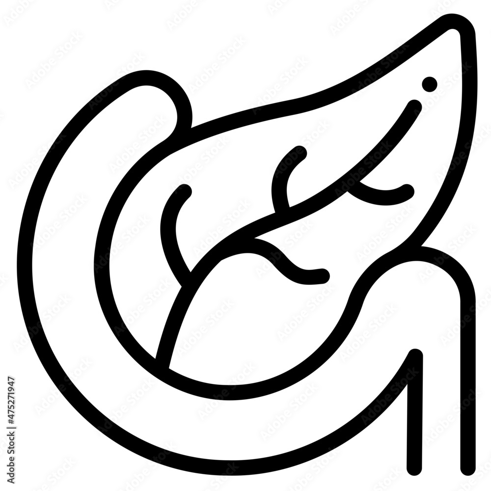 pancreas outline icon Stock Vector | Adobe Stock
