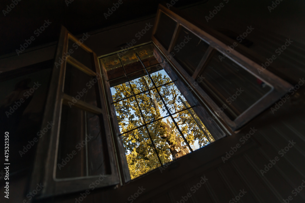 Inside view through open wooden window of large beautiful oak Stock ...