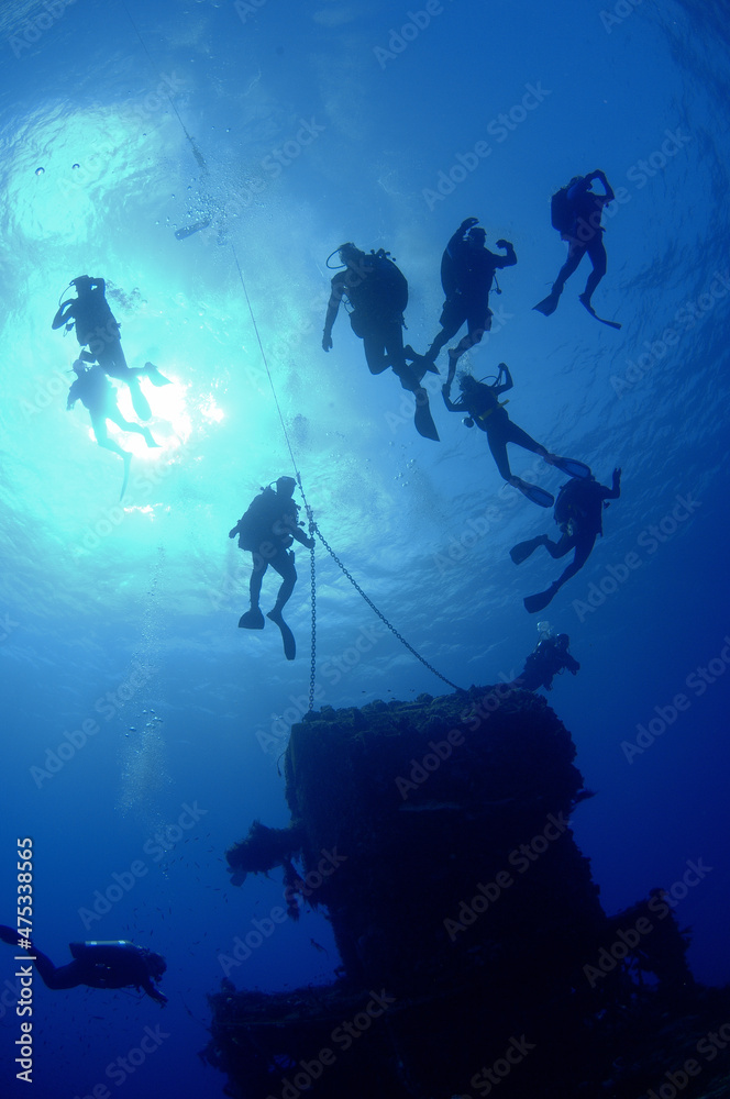 Scuba divers at mooring line on top of shipwreck. Stock Photo | Adobe Stock