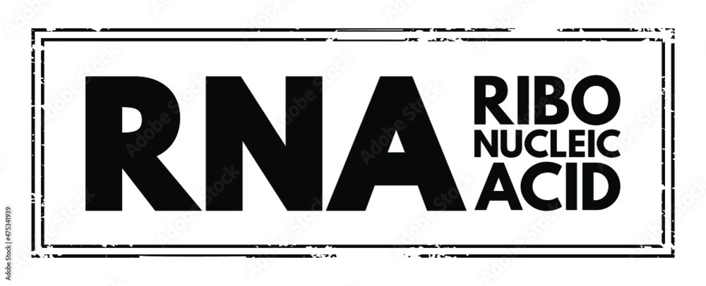 RNA - Ribonucleic acid acronym text stamp, medical concept background ...