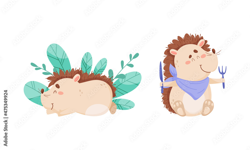 Cute funny hedgehog character activities set. Adorable baby animal ...