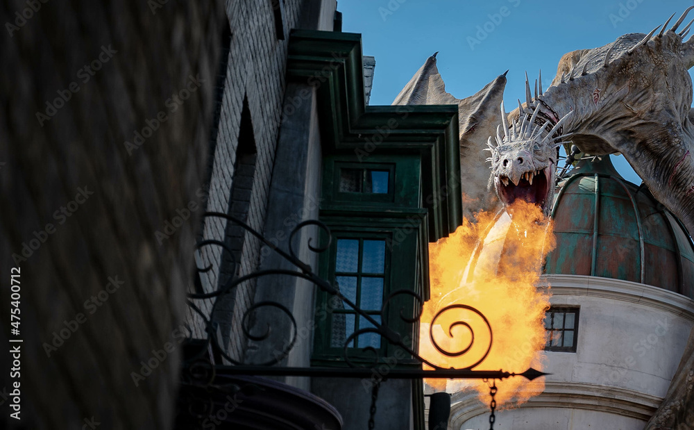 Dragon Harry Potter Ride