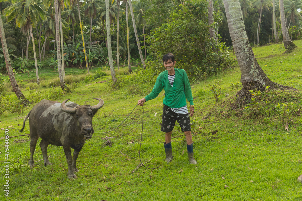 Foto de An old Filipino farmer tending to his carabao. Rural ...