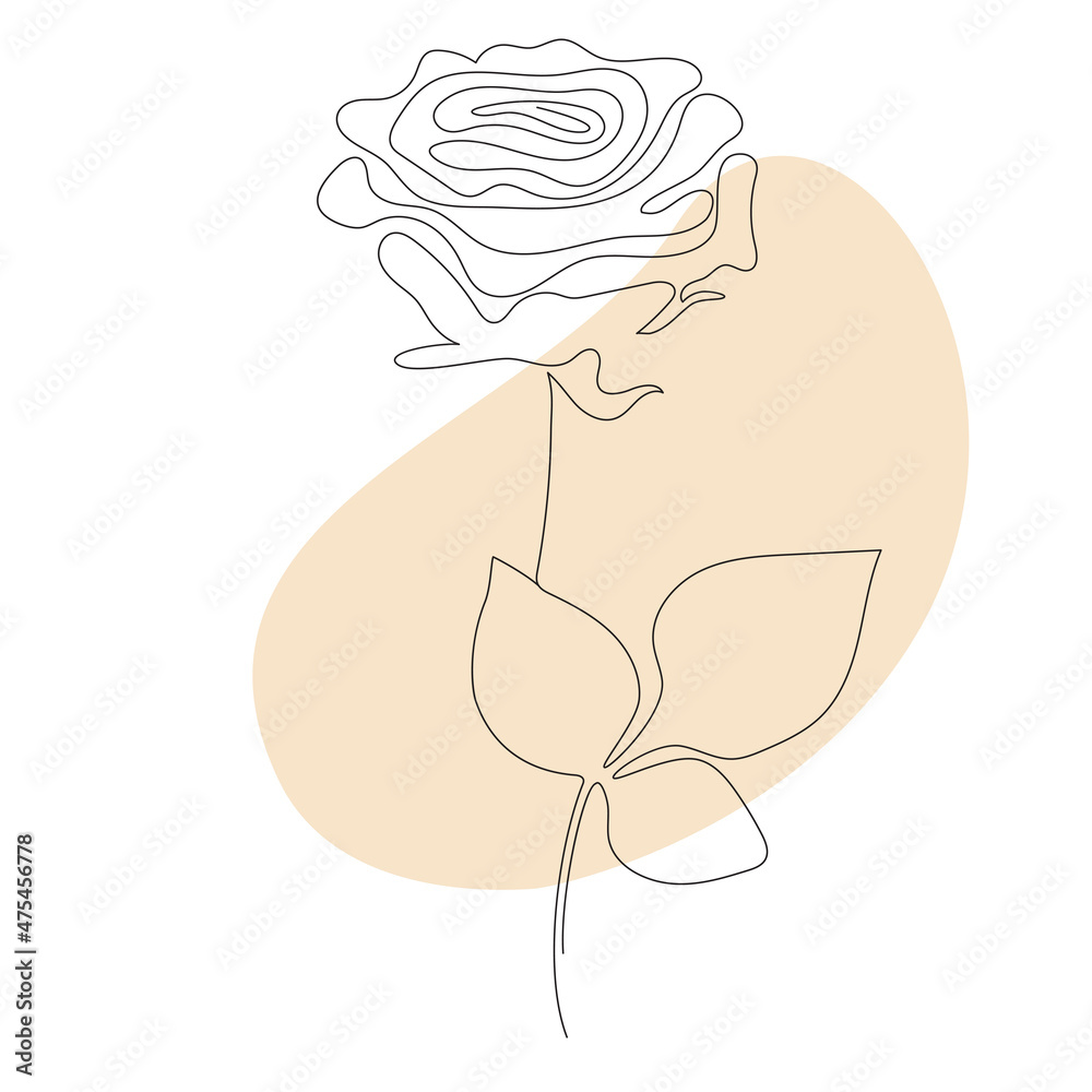 Beautiful flower Rose- Line art . Vector illustration. Continuous line ...
