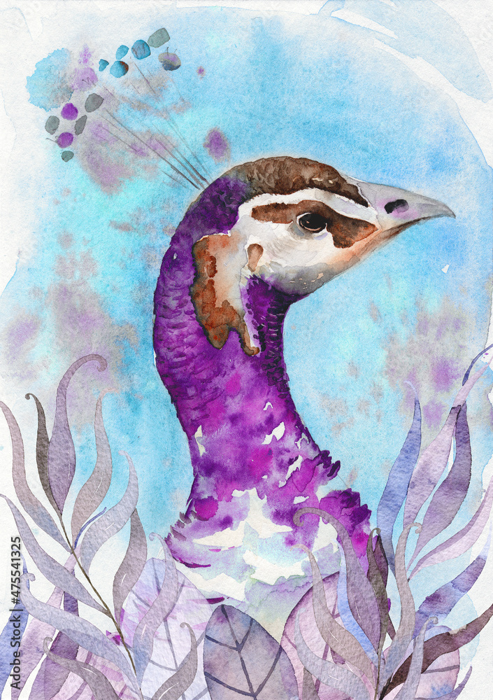 Purple Peacock Feather Drawing