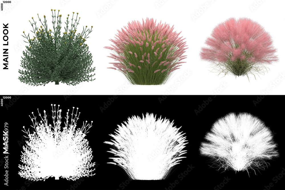 3D Rendering of Front, Left and Top view of Trees (Allamanda) with ...