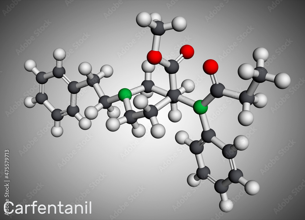 Carfentanil, carfentanyl molecule. It is derivative of fentanyl, one of ...
