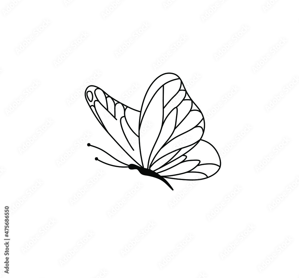 Vector isolated cute cartoon butterfly line drawing. Simple minimal ...