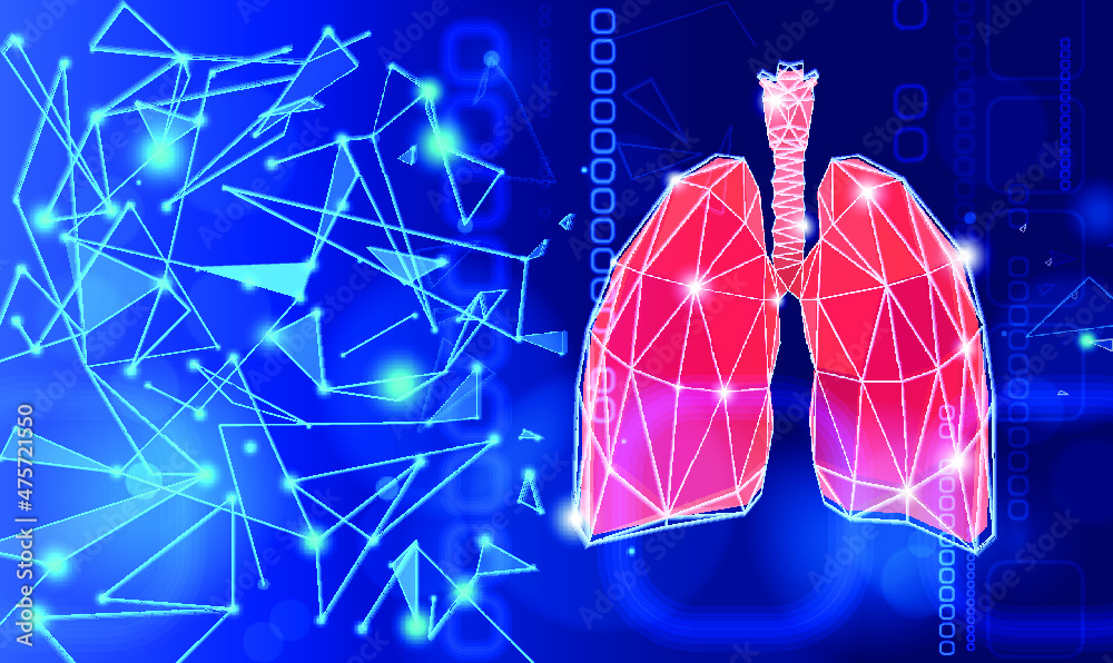 Lungs illustration showing connections using lines and triangles for a ...