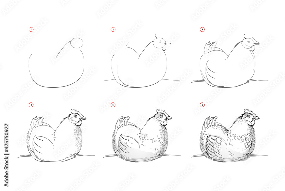 page-shows-how-to-learn-to-draw-sketch-of-hen-creation-step-by-step