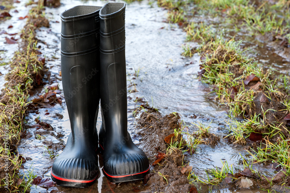In bad weather and soggy, muddy paths, rubber boots are almost a must ...