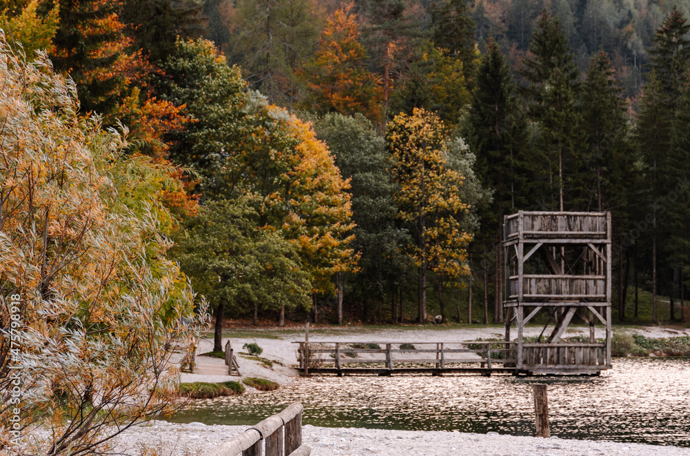 Colors of forest around Lake Jasna in Kranjska Gora in Slovenia Stock ...