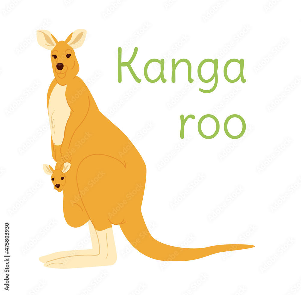 the red kangaroo is standing. Australian bird in a simple style. Flat ...