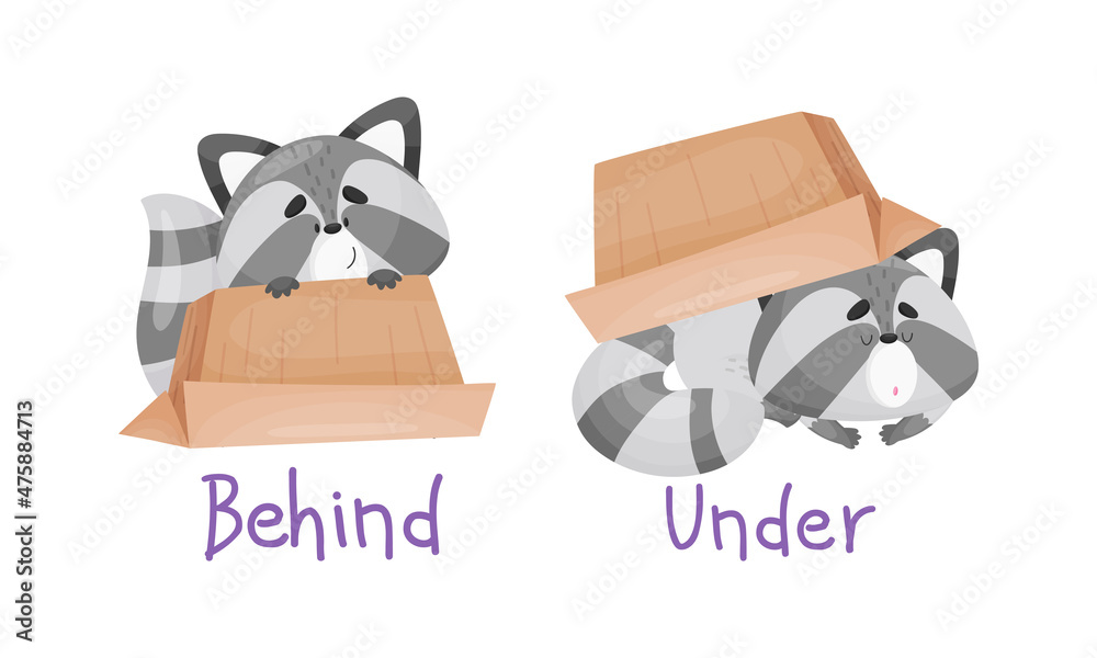 Learning English preposition set. Cute cat behind and under the box ...
