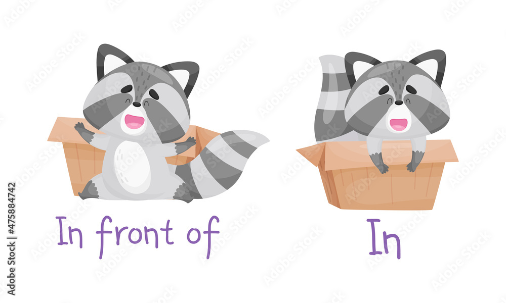 Learning English preposition set. Cute cat in front of and in the box ...