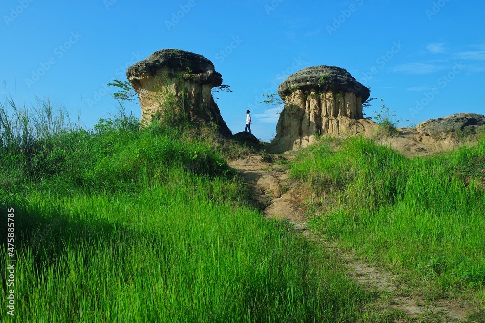 Mushroom Rock in Gresik, East Java, Indonesia is the natural phenomenon ...