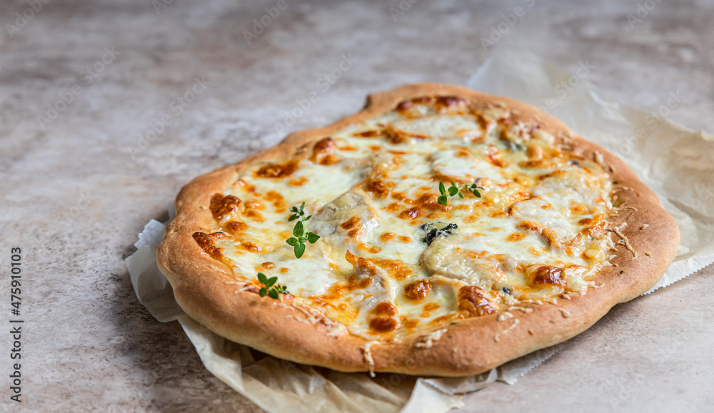 Rome pizza with white chicken meat or turkey and cheese, concrete ...