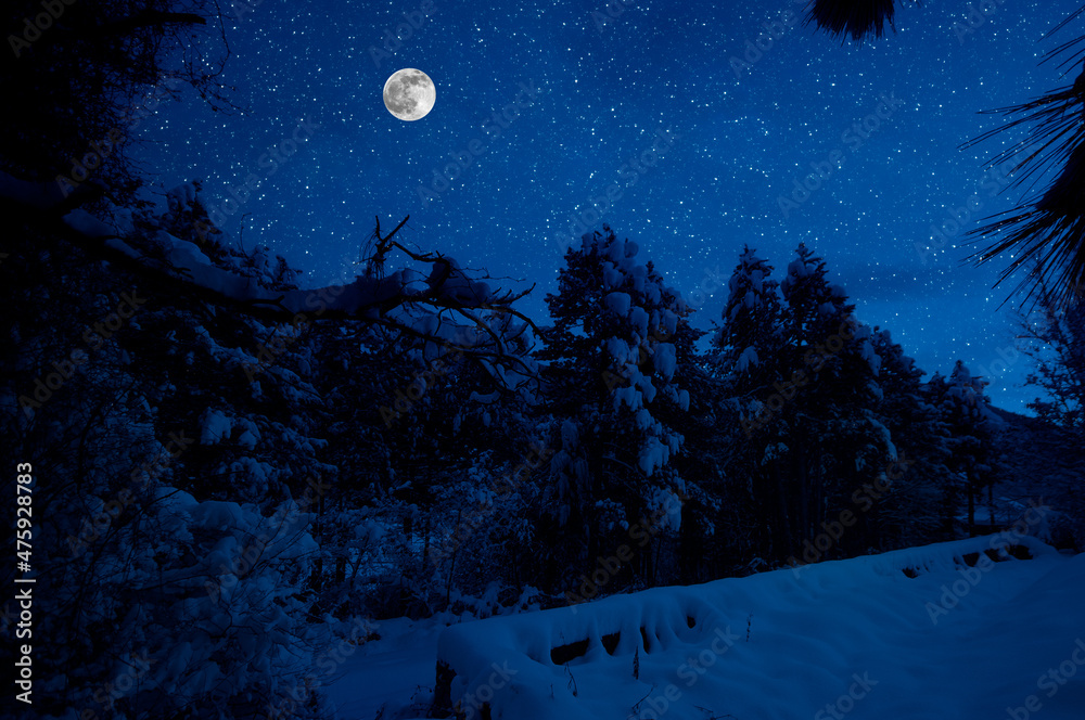 Mountain Road through the snowy forest on a full moon night. Scenic ...