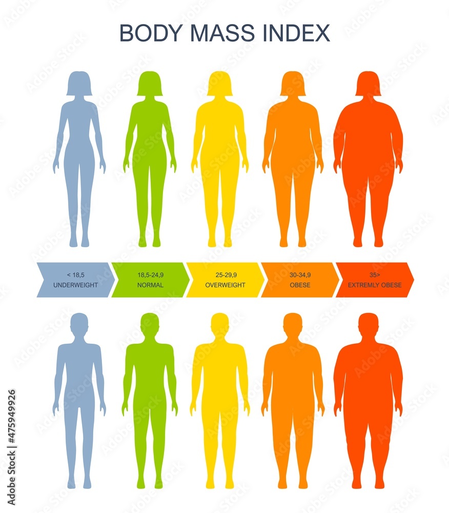 Body Mass Index Chart Man And Woman Silhouette Vector BMI Scale Of