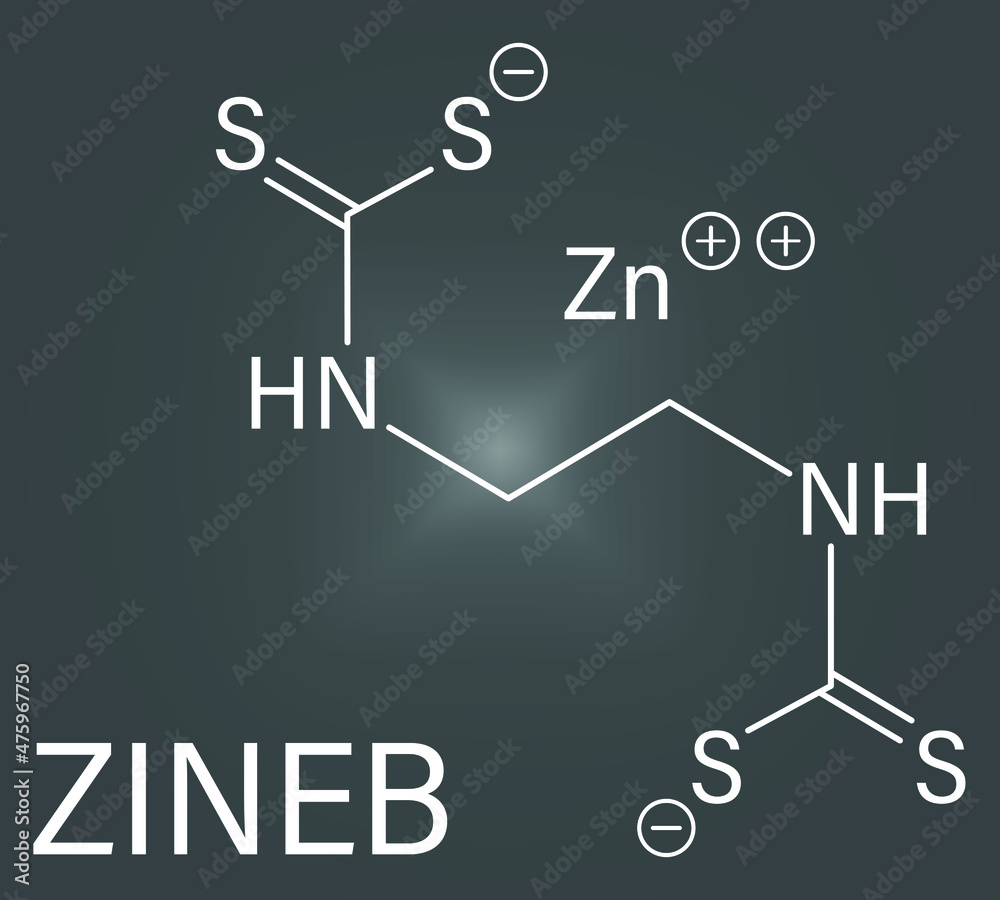 Zineb zinc organosulfur fungicide molecule. Skeletal formula. Stock ...