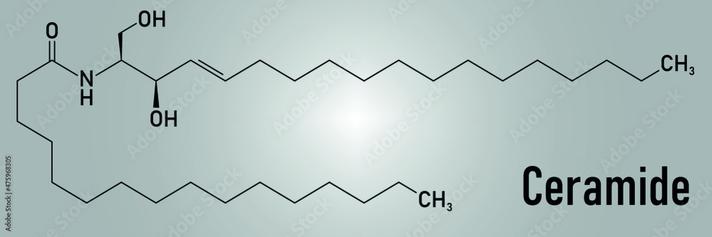 Ceramide cell membrane lipid molecule. Skeletal formula. Stock Vector ...